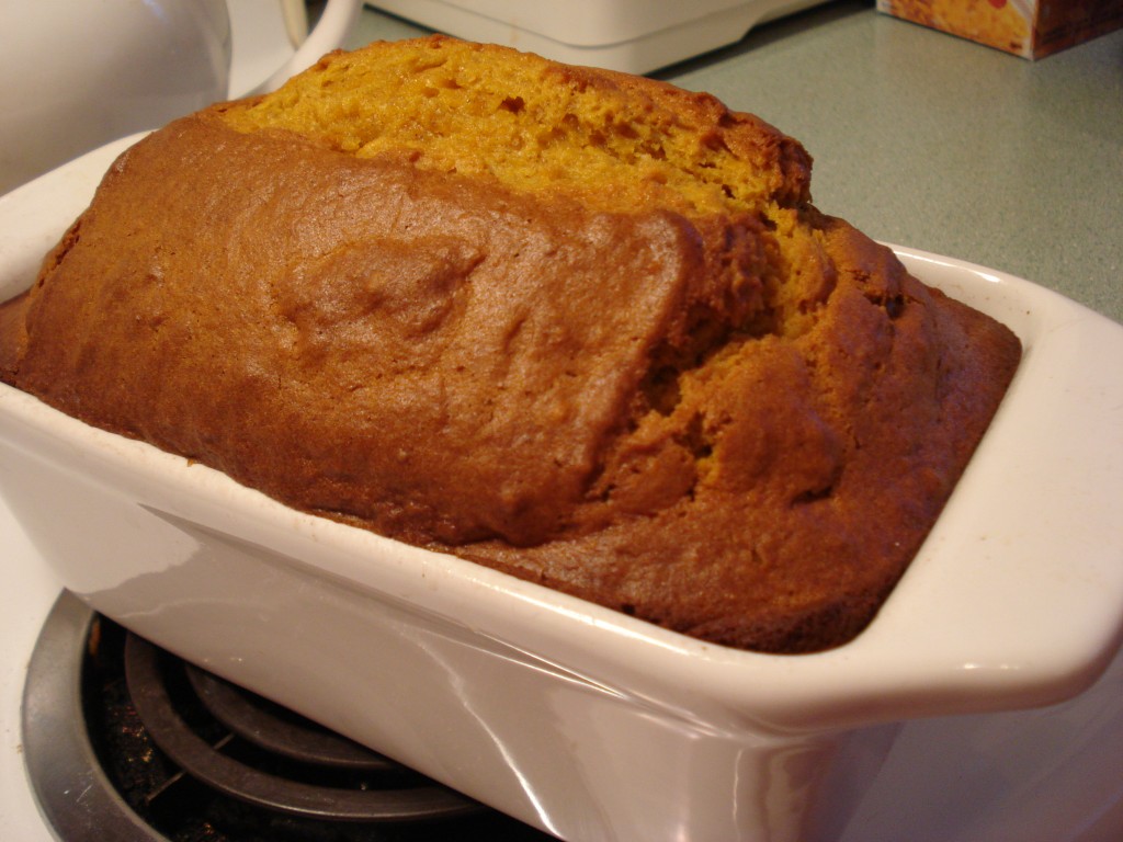 Pumpkin Gingerbread Recipe - Cat Can Cook